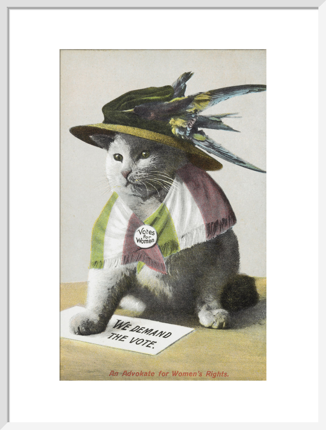 An Advokate for Women's Rights c.1909 – London Museum